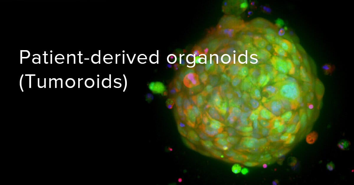 Patient-derived Organoids, Tumoroids
