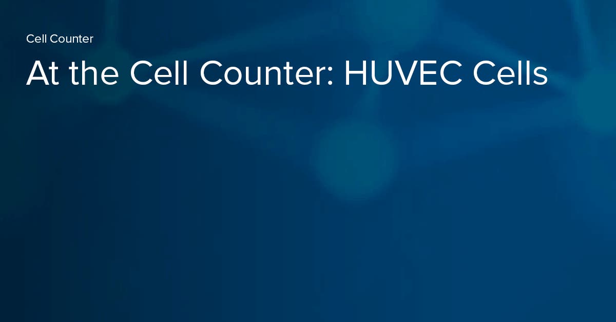 HUVEC Cells, Human Umbilical Vein Endothelial Cells | Molecular Devices