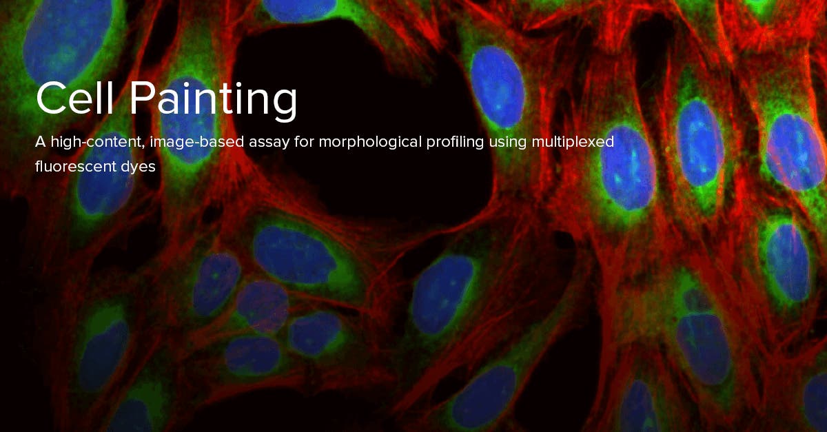 Cell painting, Phenotypic and Morphological Profiling