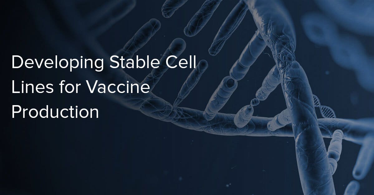 Stable Cell Line Generation for Vaccine Production