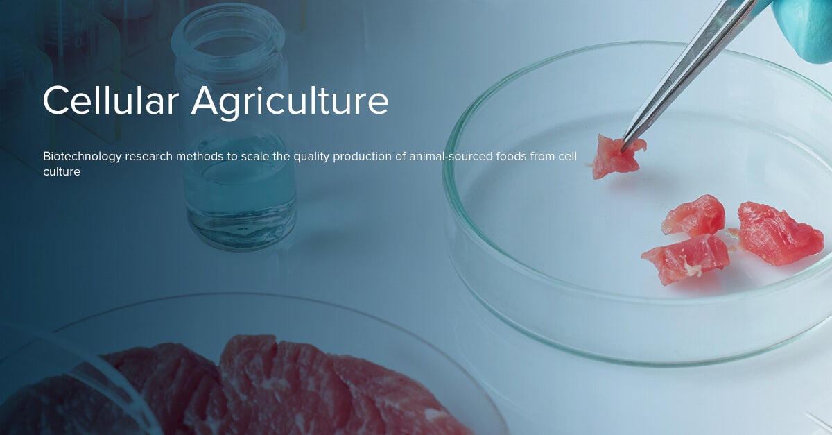 Cellular Agriculture Solutions for Sustainable Food | Molecular Devices