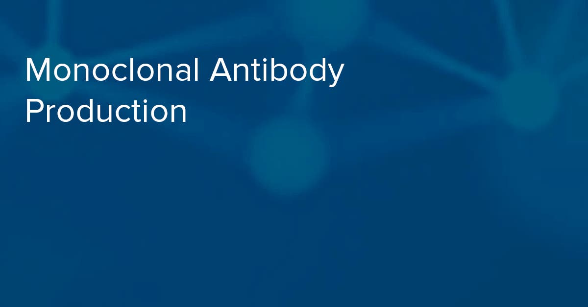 Monoclonal Antibody Production, mAb
