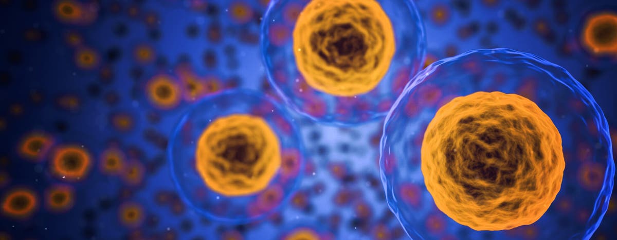 Cell Viability, Cell Proliferation, Cytotoxicity Assays