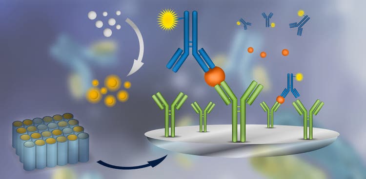 What is ELISA, ELISA Plate Reader & Washer, Antigen Detection Methods ... What is ELISA, ELISA Plate Reader & Washer, Antigen Detection Methods ...