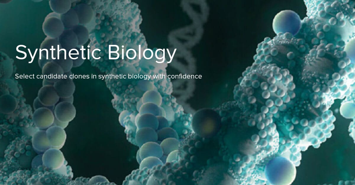 Synthetic Biology, Colony Picking in Synthetic Biology