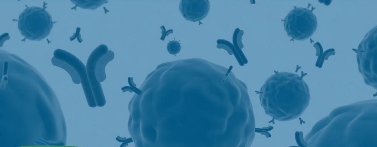Cell Line Development Workflow, Recombinant Proteins | Molecular Devices