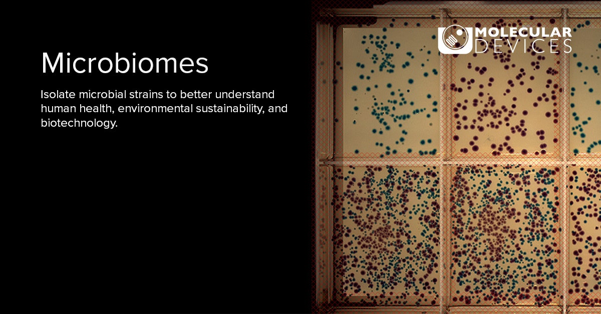 Microbiomes, Microorganisms & Gut Health | Molecular Devices