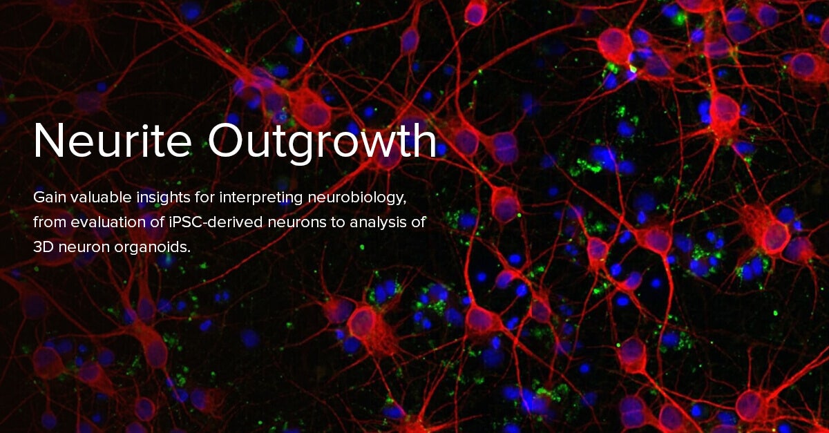 Neurite Outgrowth, Neurotoxicity | Molecular Devices