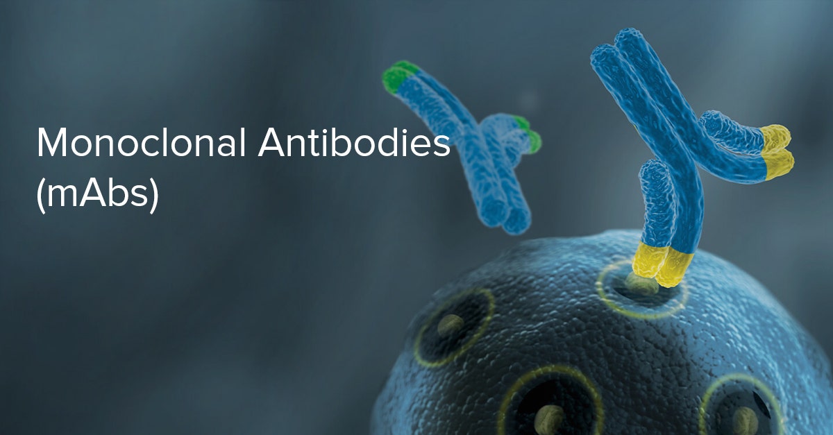 Monoclonal Antibodies (mAbs) Applications in Research & Therapeutics