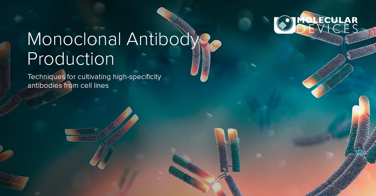 Monoclonal Antibody Production, mAb