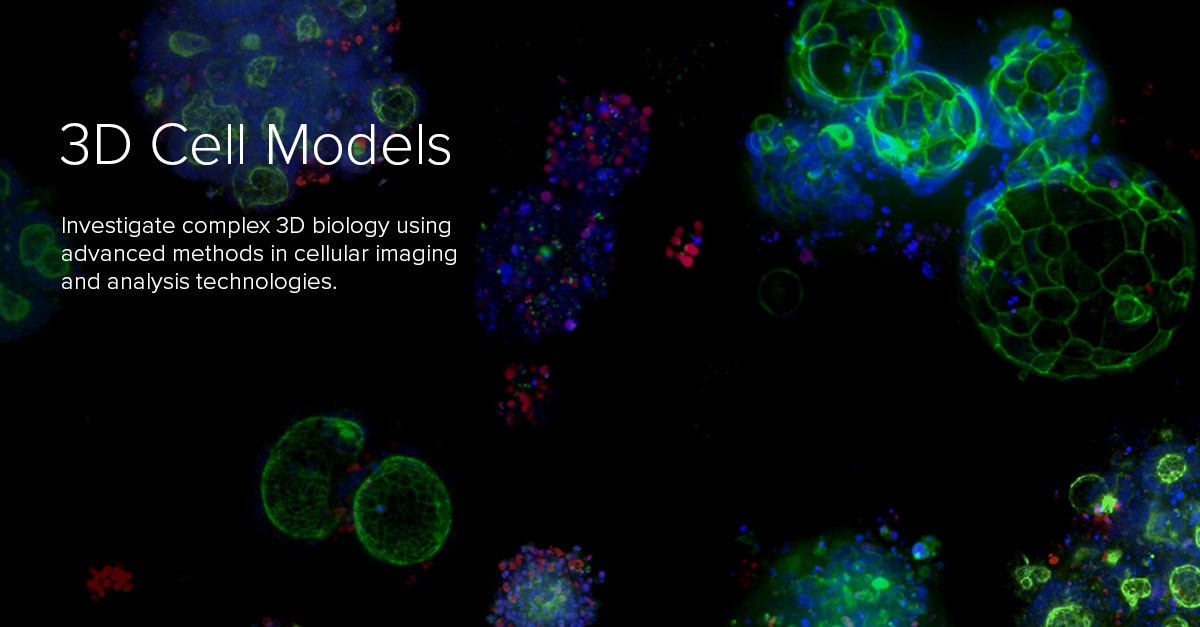 3D Cell Models, 3D Cell Culture Imaging & Analysis