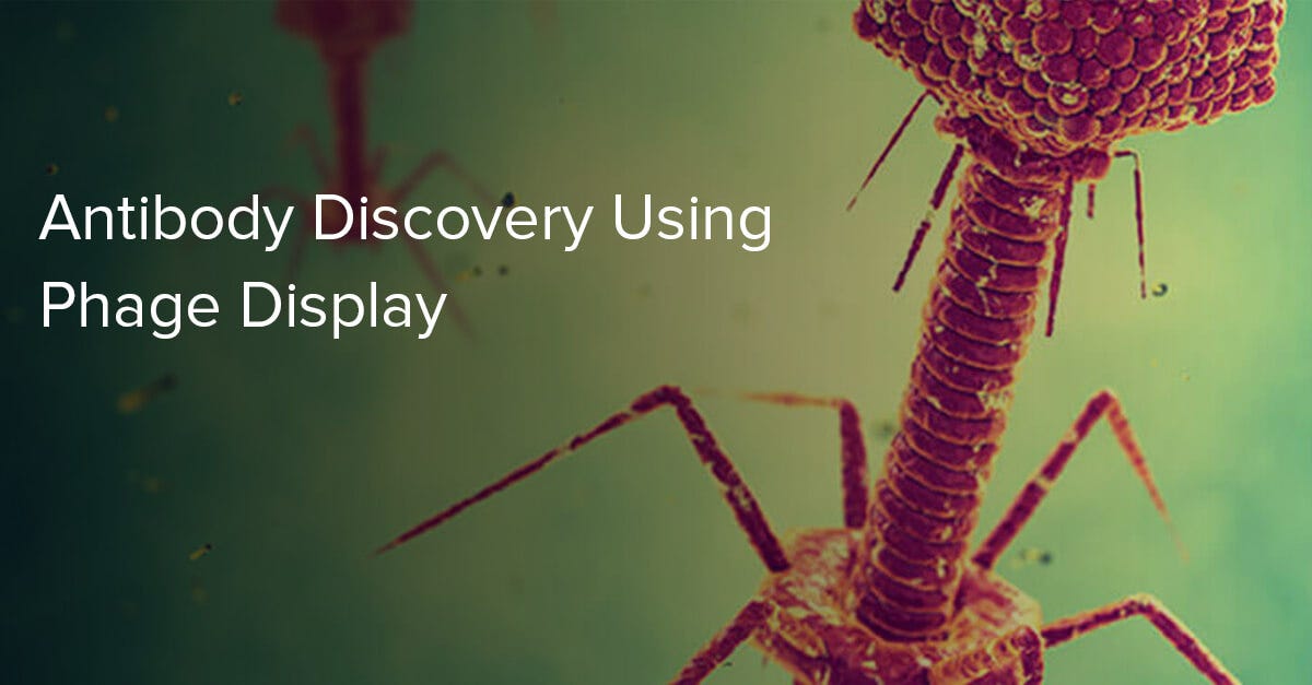 Phage Display Technology for Antibodies Discovery | Molecular Devices