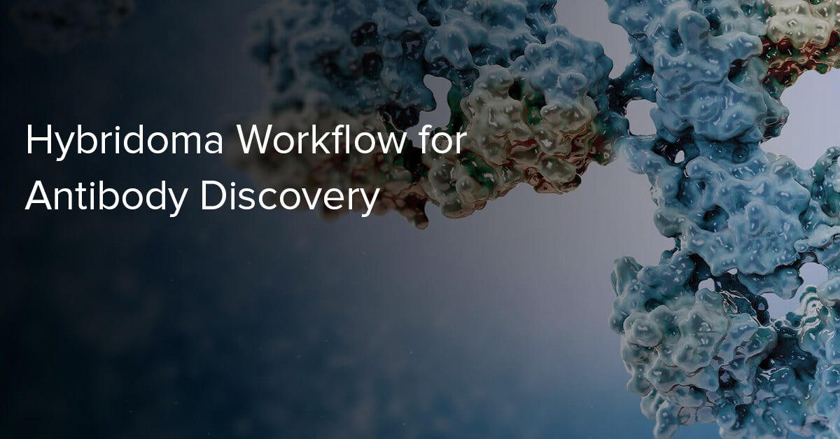 Antibody Discovery via Hybridomas