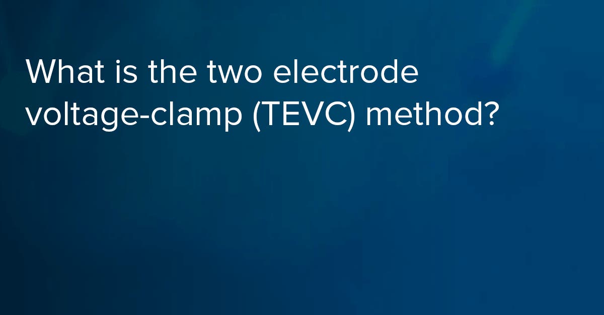 What is the two electrode voltage-clamp (TEVC) method?