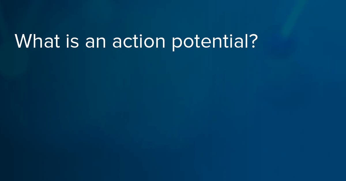 What is an Action Potential, Action Potential Chart, Membrane Potential