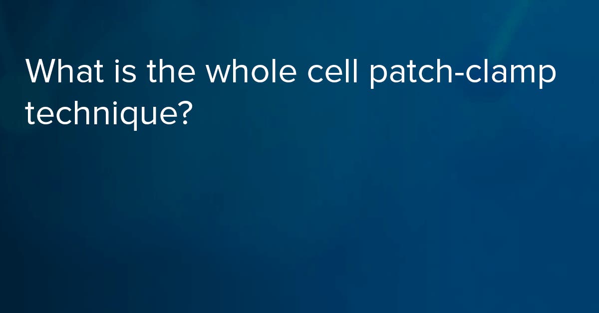 What is the whole cell patch-clamp technique? | Molecular Devices
