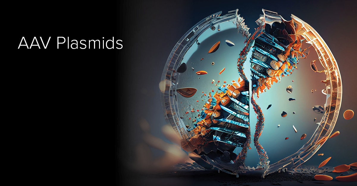AAV Plasmids, Adeno-Associated Virus | Molecular Devices