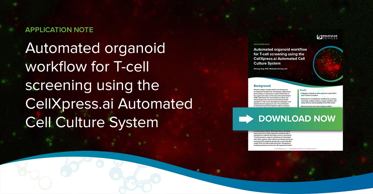 Automated organoid workflow for T-cell screening using CellXpress.ai