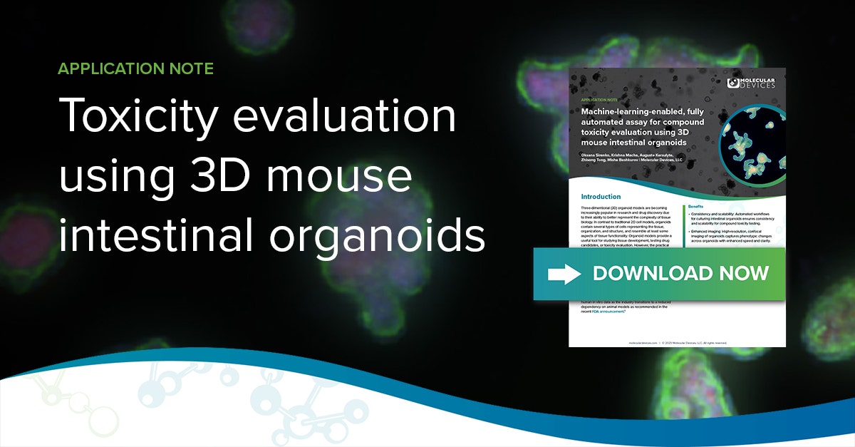 Toxicity evaluation - 3D Mouse Intestinal Organoids
