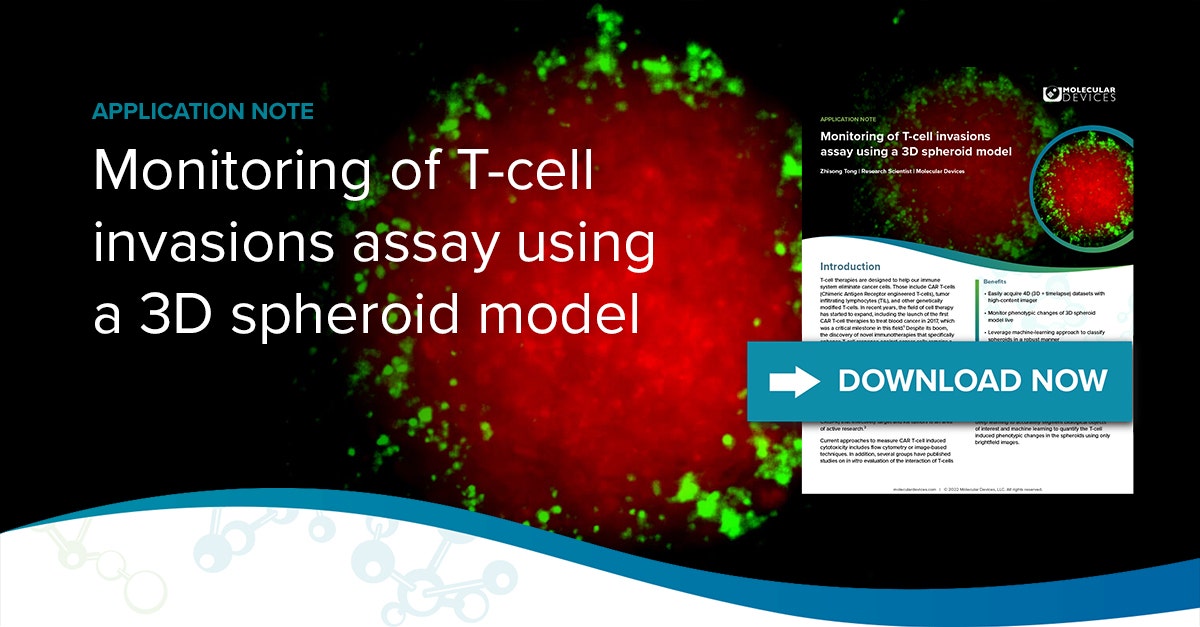 T Cell Invasions Assay Using 3d Spheroid Model Molecular Devices
