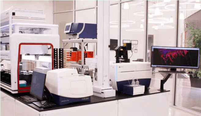 Organoids for disease modeling and in vitro drug screening: Automated ...