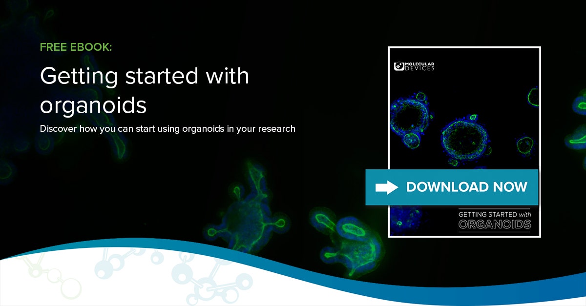 Getting started with organoids | Molecular Devices