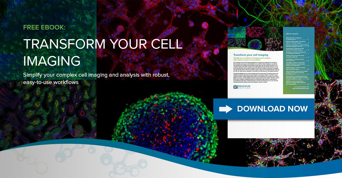 Cell Imaging and Analysis | Molecular Devices