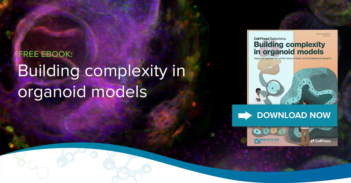 Building Complexity in Organoid Models | Molecular Devices