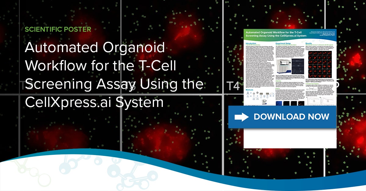 Automated Organoid Workflow for T-Cell Screening using CellXpress.ai System