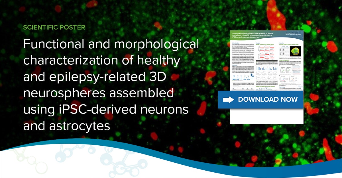 Functional And Morphological Characterization Of Healthy And Epilepsy Related 3d Neurospheres