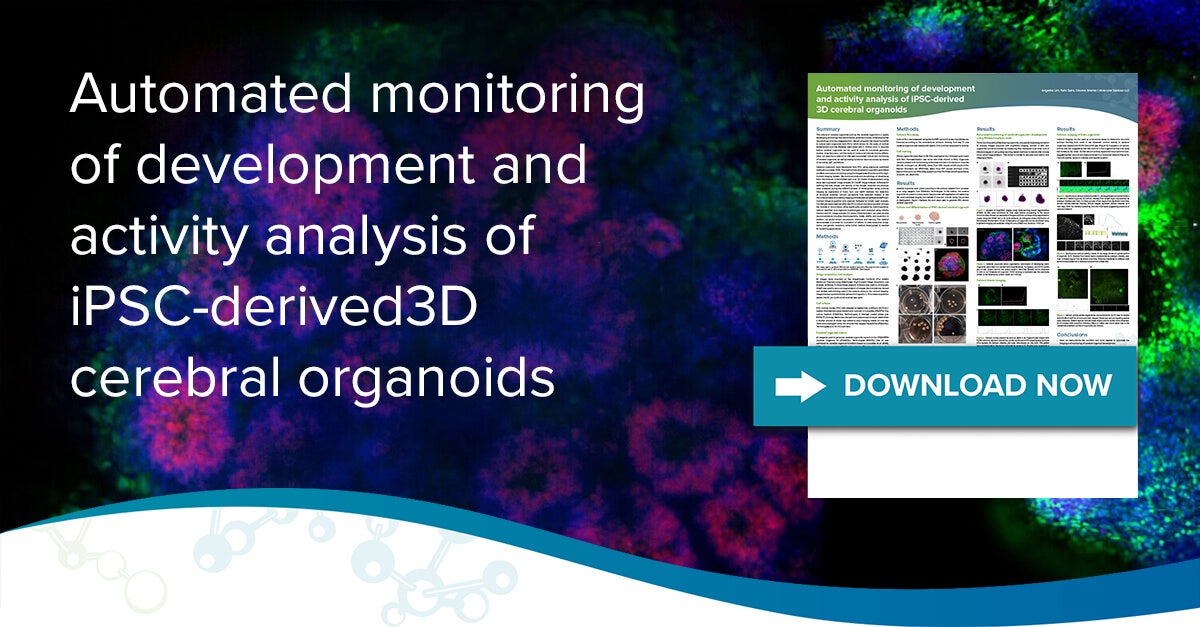 Monitoring of Development for iPSC-derived 3D Cerebral Organoids
