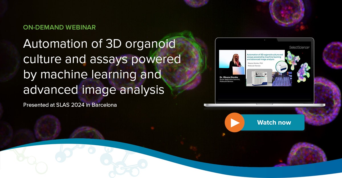 Automation of 3D Organoid Culture and assays powered by machine learning and advanced image analysis
