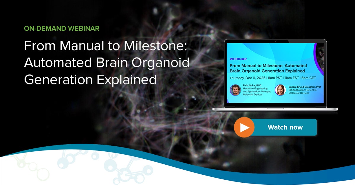 Automated Brain Organoid Generation Explained