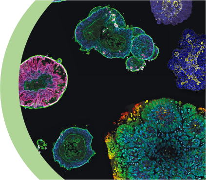 Electrophysiology Data Analysis with Clampfit 11 | Molecular Devices