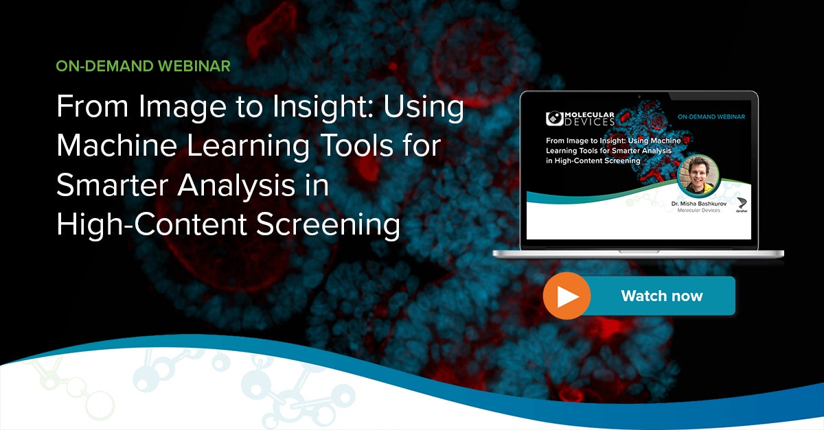 From Image to Insight: Machine Learning in High-Content Screening