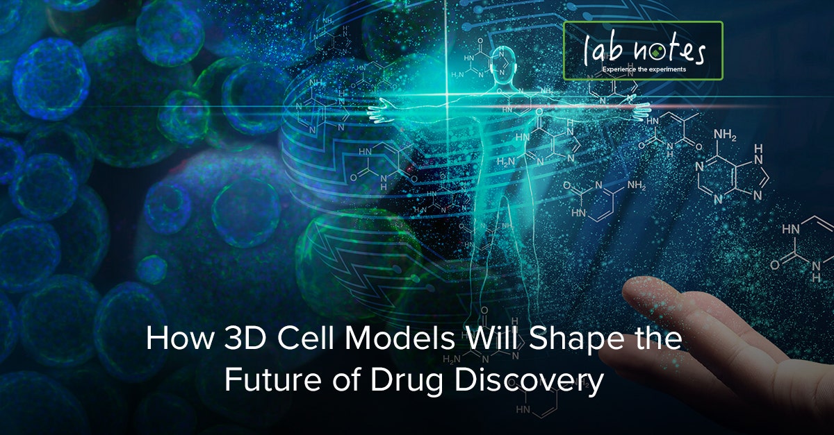 How 3D Cell Models Shape Future of Drug Discovery