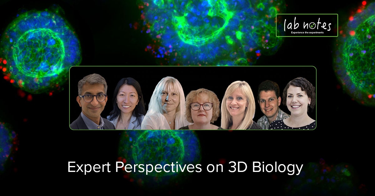 Expert Perspectives on 3D Biology
