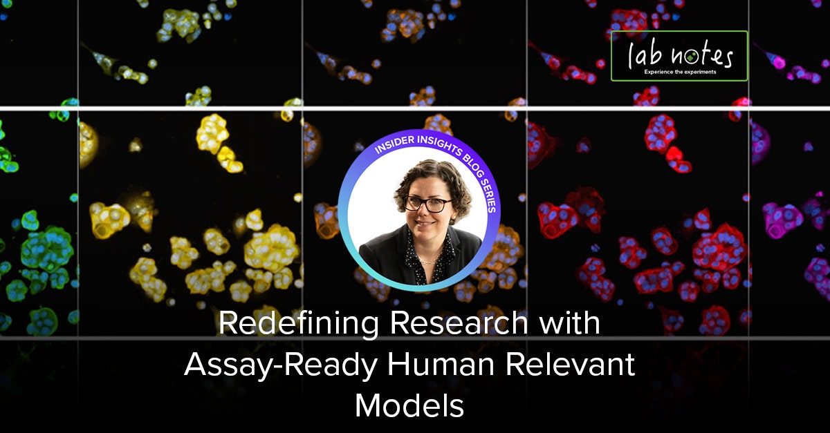 Assay-ready Human Models for Intestinal Biology Research