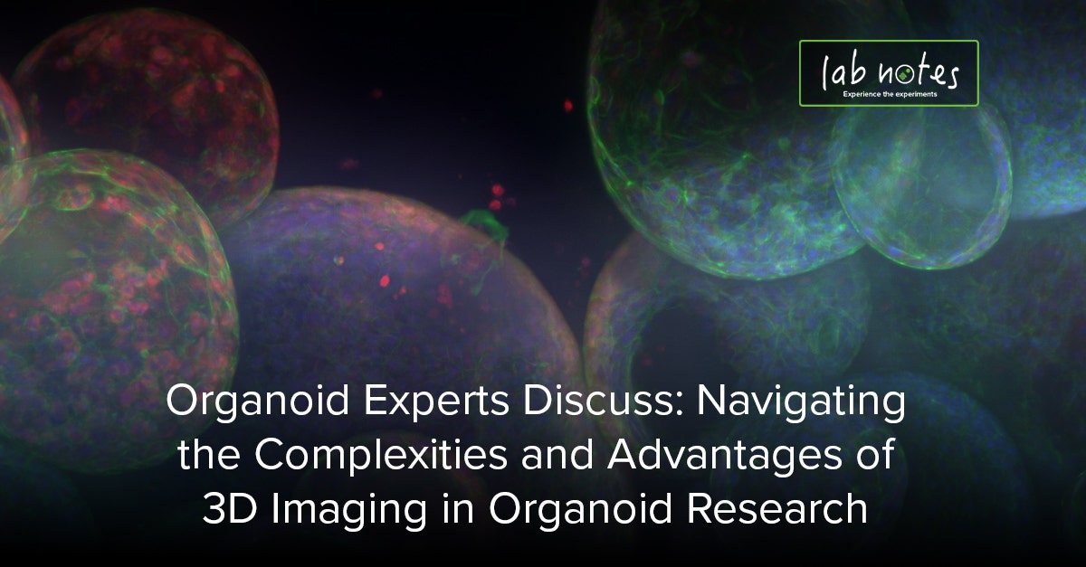 Organoid Experts Discuss: Navigating the Complexities and Advantages of 3D Imaging in Organoid ...