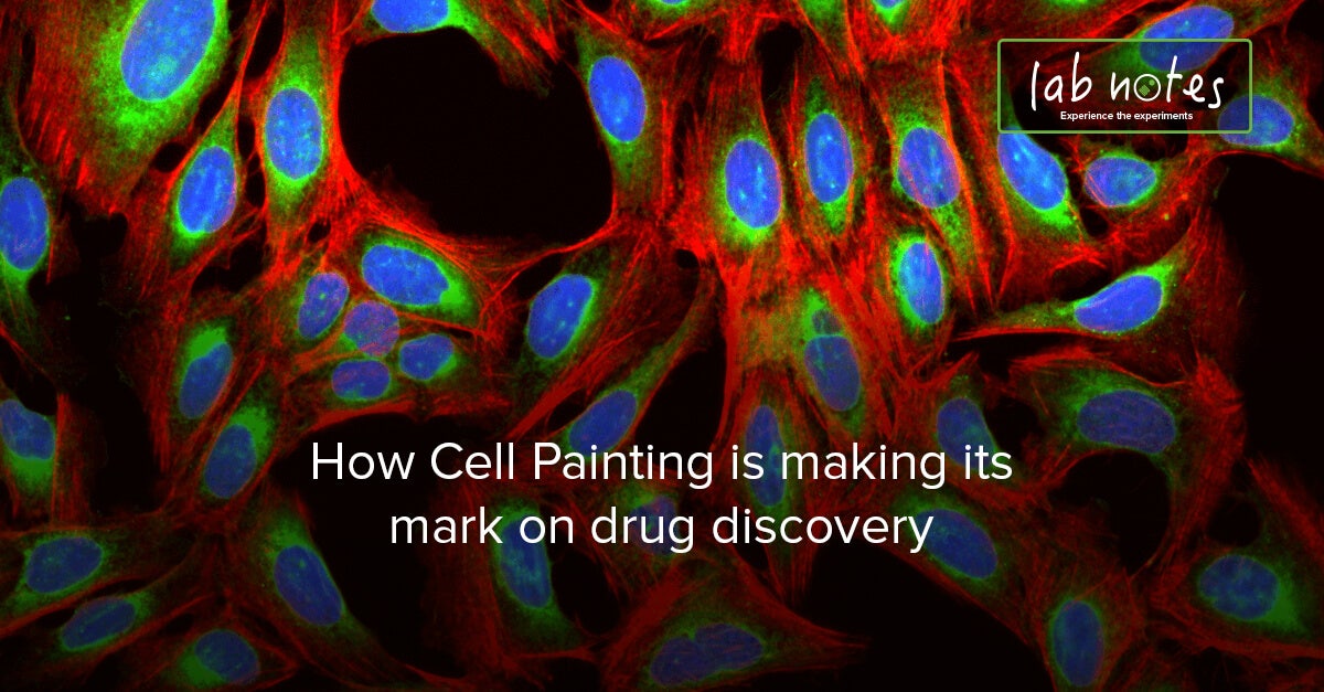 How Cell Painting is making its mark on drug discovery
