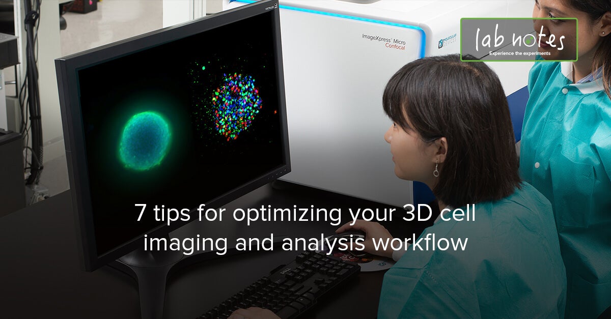 7 Tips for Optimizing your 3D Cell Imaging and Analysis Workflow