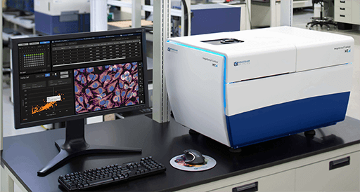 How Cell Painting is making its mark on drug discovery