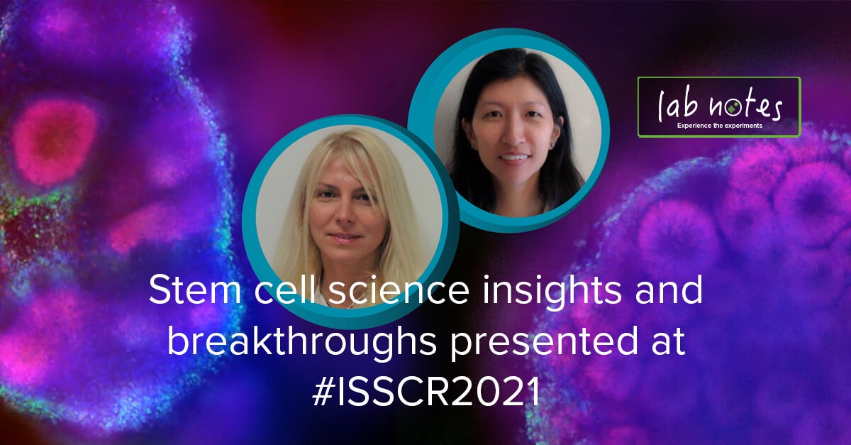 Stem Cell Science Insights and Breakthroughs Presented - ISSCR 2021