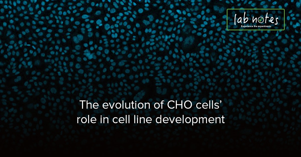 Evolution of CHO Cells and Role in Cell Line Development
