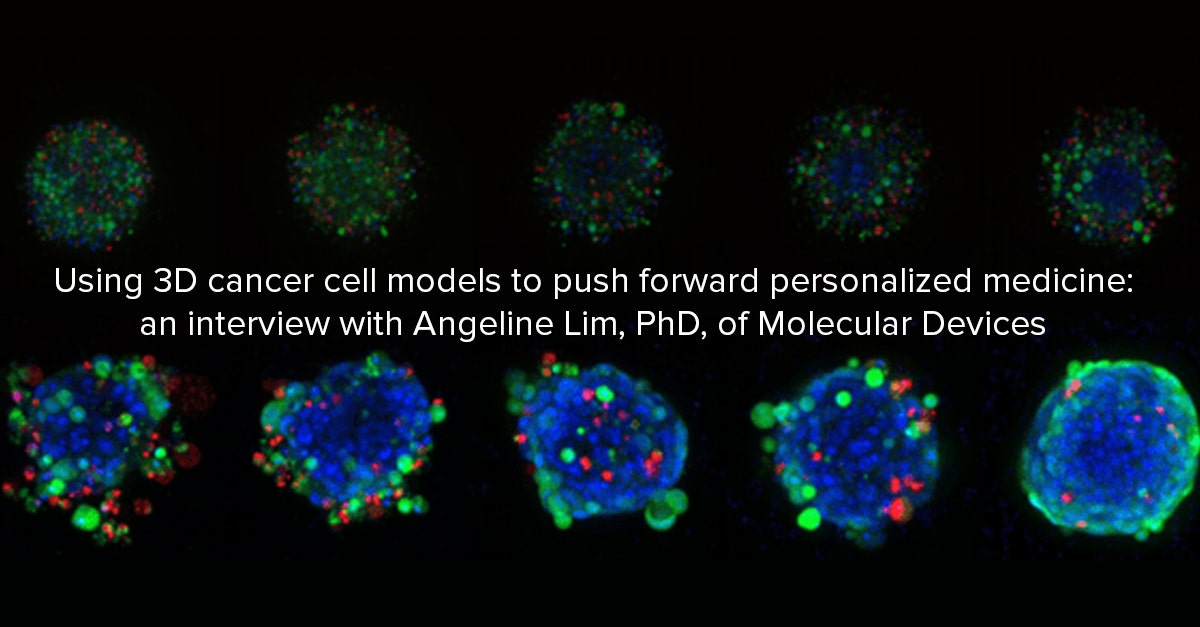 Using 3D cancer cell models to push forward personalized medicine