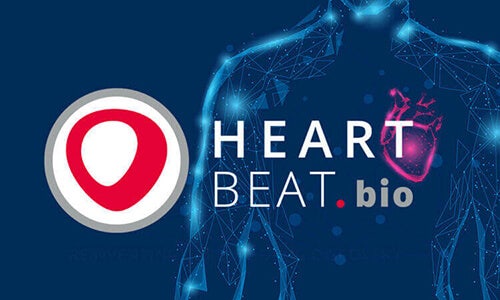 HeartBeat.bio announce collaboration to automate and scale cardiac ...