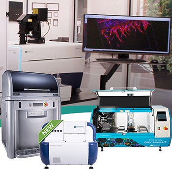 Organoid Innovation Center adding Cell Engineering to 3D Cell Culture ...