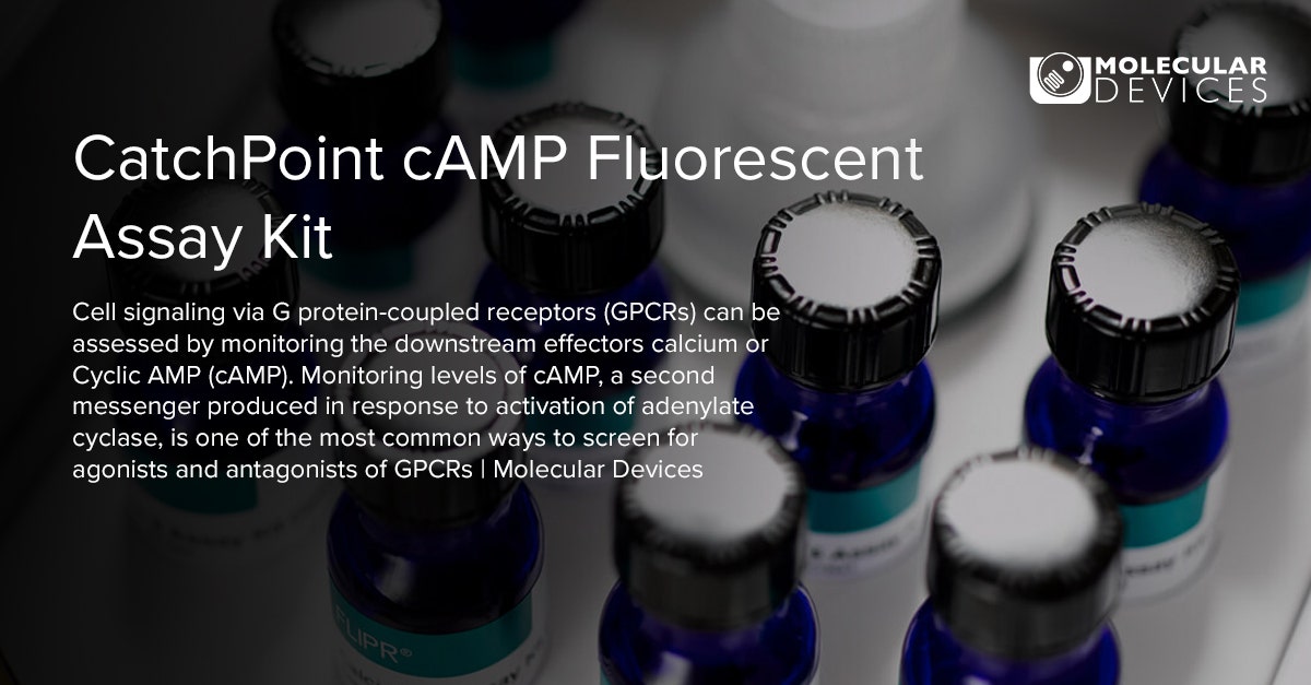 CatchPoint cAMP Fluorescent Assay Kit