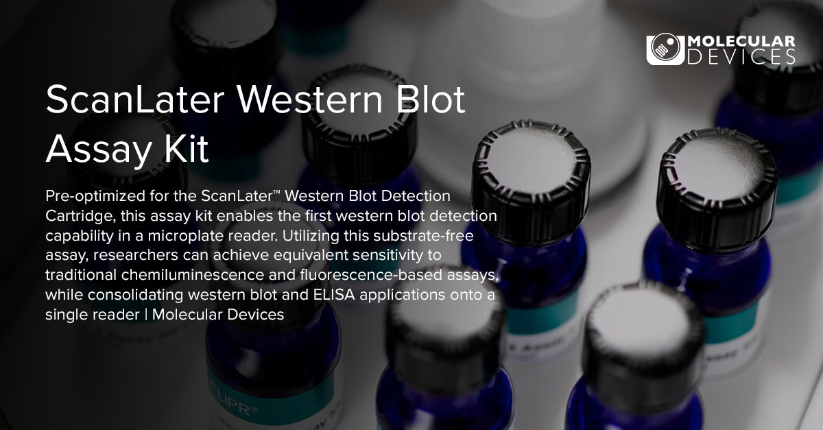 ScanLater Western Blot Assay Kit