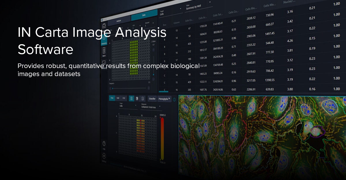 IN Carta Image Analysis Software